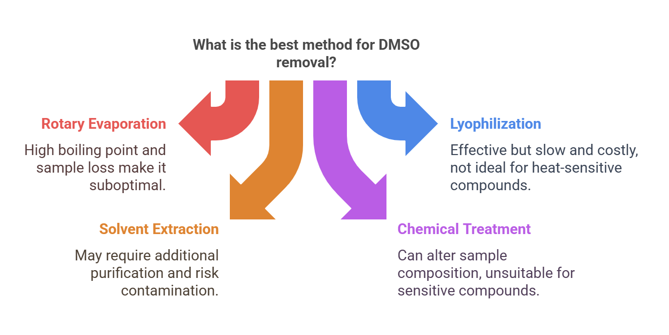 Comprehensive Strategies for Effective DMSO Removal in Research ...